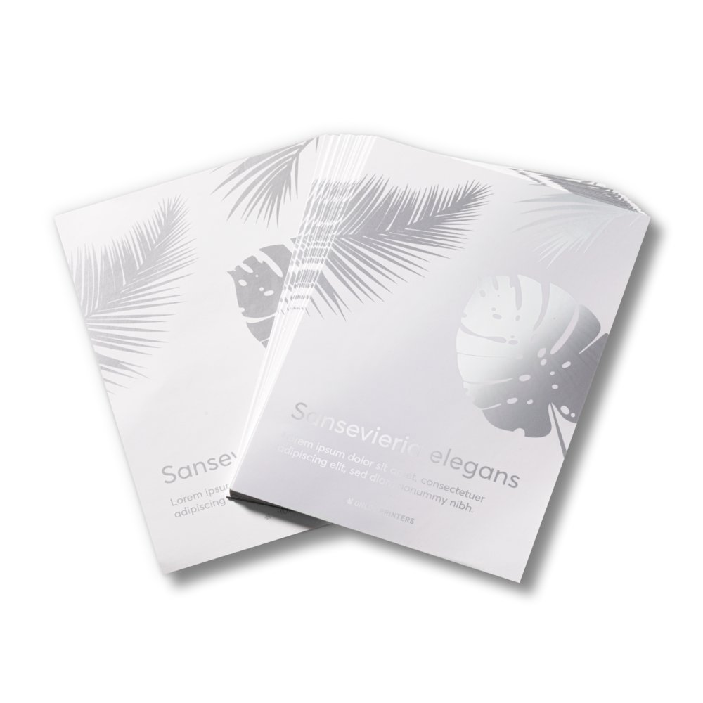 Flyers met effectverven, DVD-cover, dubbelzijdig bedrukt, DVD cover bij ...